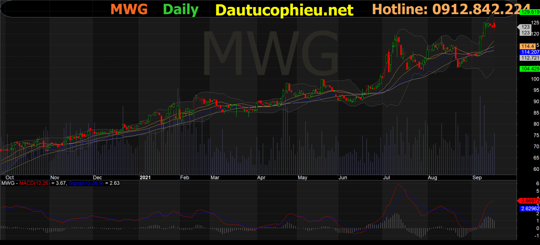 Cập nhật cổ phiếu MWG – Vẫn tăng trưởng trong tâm dịch
