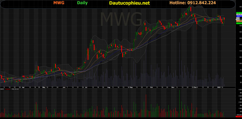 Cập nhật cổ phiếu MWG – Thí điểm các mô hình mới với thương hiệu “AVA ...